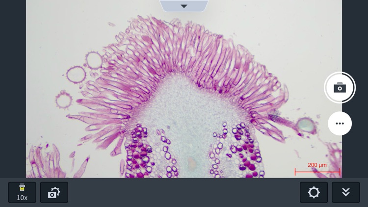 Labscope by Carl Zeiss AG