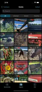 ProveIt App Reviews – Features, Pricing & User Ratings