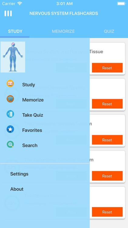 Nervous System Study Cards by Coskun CAKIR