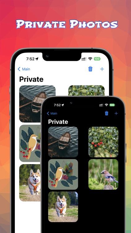 Secret Photo Vault - eVault by Eyermin Colon Sanchez