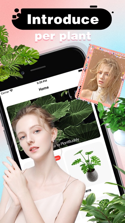 Plantmate-guide video&call by Nguyen Thi My