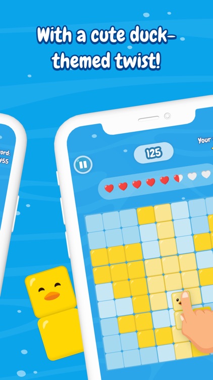 Ducks in a Row by Arash Daneshvar