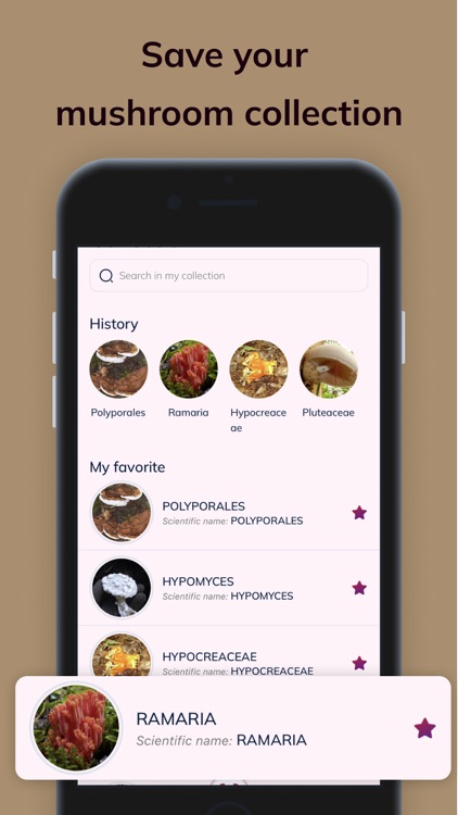 MushroomAI: Fungi ID & Guide by iKong ,.jsc