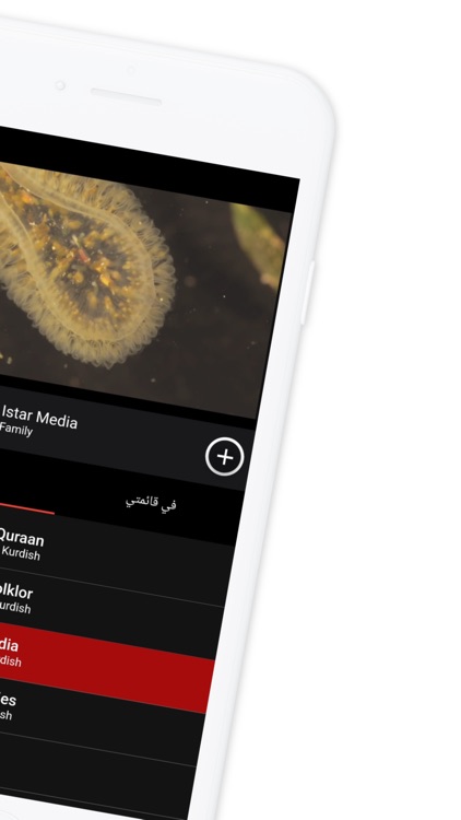 Starline Media Live by Istar Groups