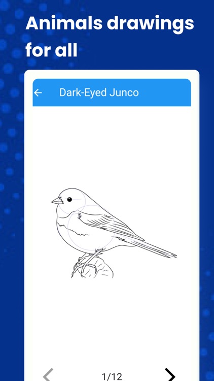 How to Draw Animals by Steps by Maciej Fras