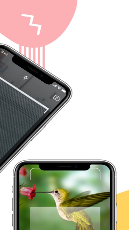 AI VISION: Identify Anything by Omyteq