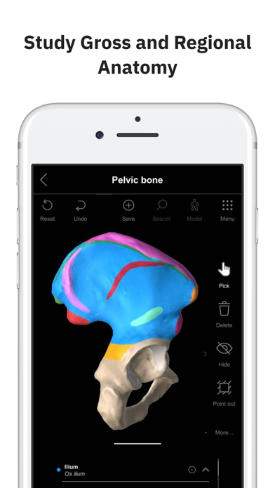 Pirogov Anatomy for iPhone - Free App Download
