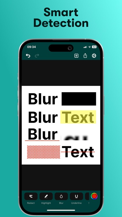 Blurtext - Censor & Redact by Stanislav Cekunov