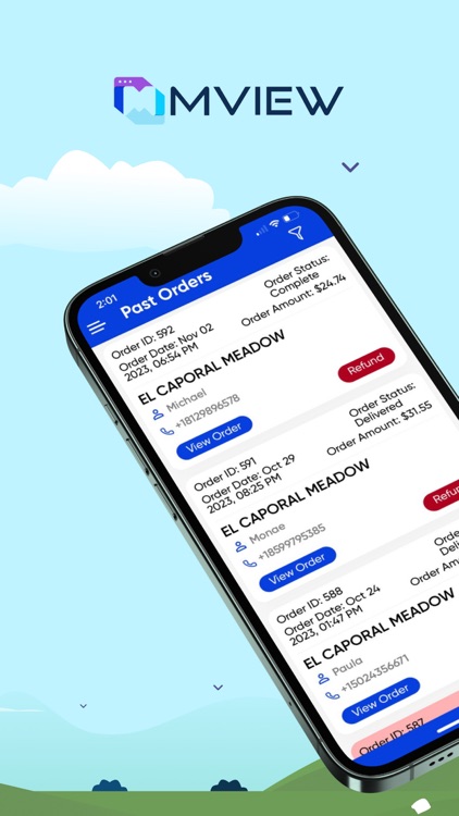Mview Mporeo by Systema Procesa Pago Corp