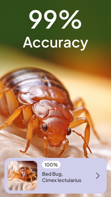 Bug Insect Identifier by Kitchen Apps LLC Bug Insect Identifier by Kitchen Apps LLC
