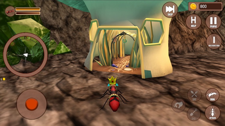 Life of Ant Colony Simulator by Ghufran Ali