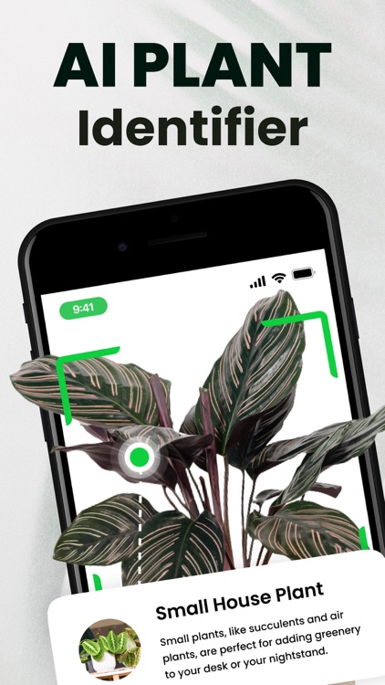 Plant Identifier & Scanner by Benjamin Green