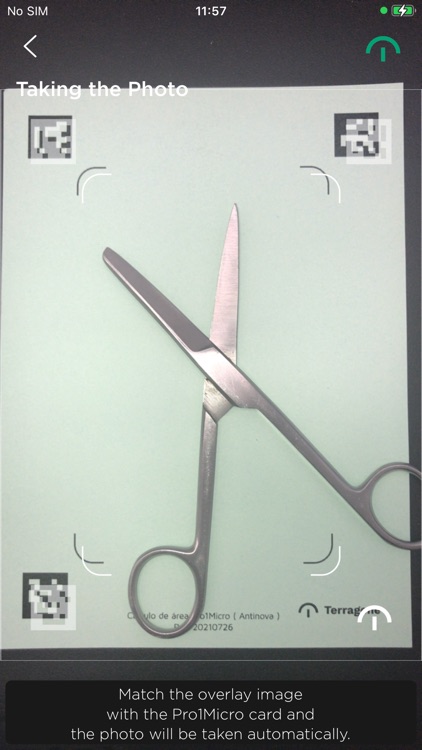 Surface Eye by Terragene