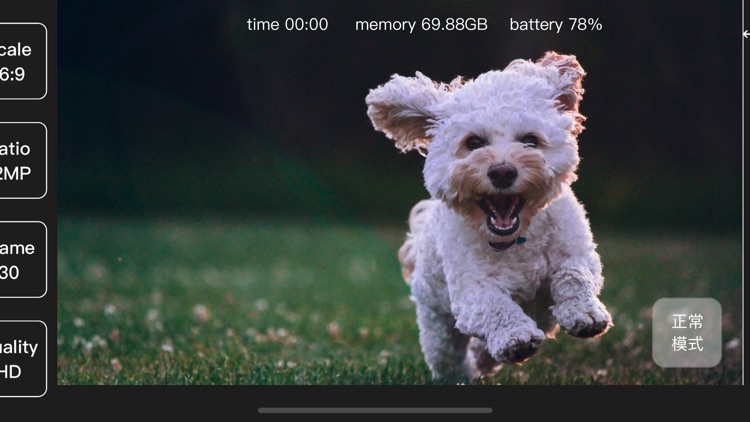 FocusFrame by Wilfried Martini