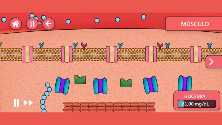 Megli by Matheus Borba