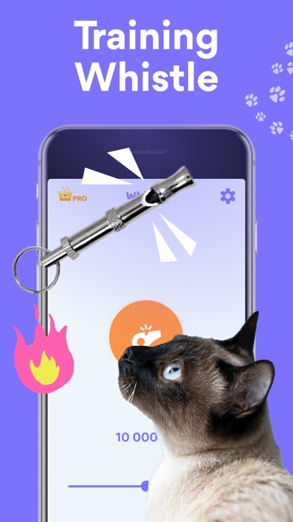 Meow Translator: Human & Cat by Pure Predictions Meow Translator: Human & Cat by Pure Predictions