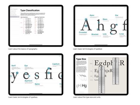 Typography Insight - Education App | MWM