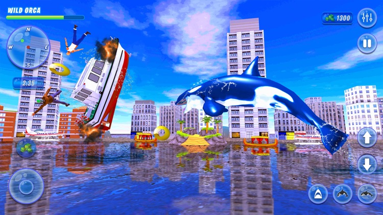 Orca Killer Whale Simulator by Abdur Rafay