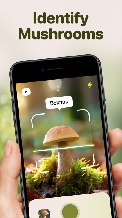 Mushroom ID: Forage Identifier by AIBY