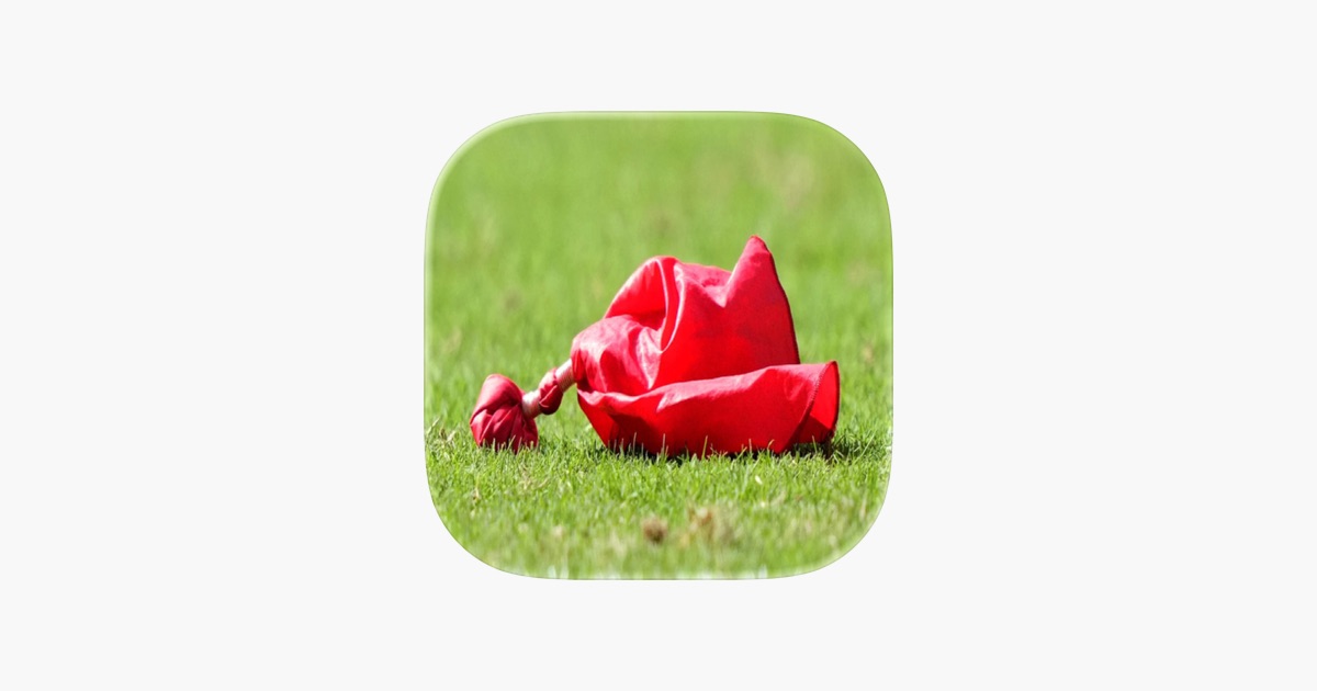 ‎Challenge Flag Ratings App - App Store