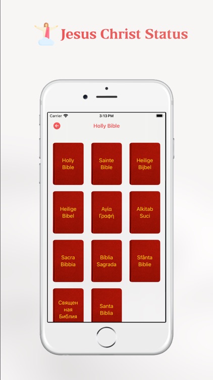 Jesus Christ Status by Jaykrushna Solanki