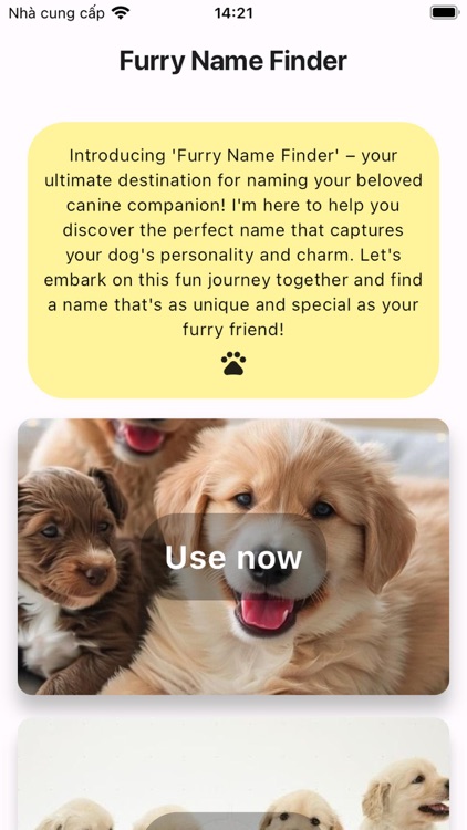 Furry Dogs Name Finder by Meta Partner Agency