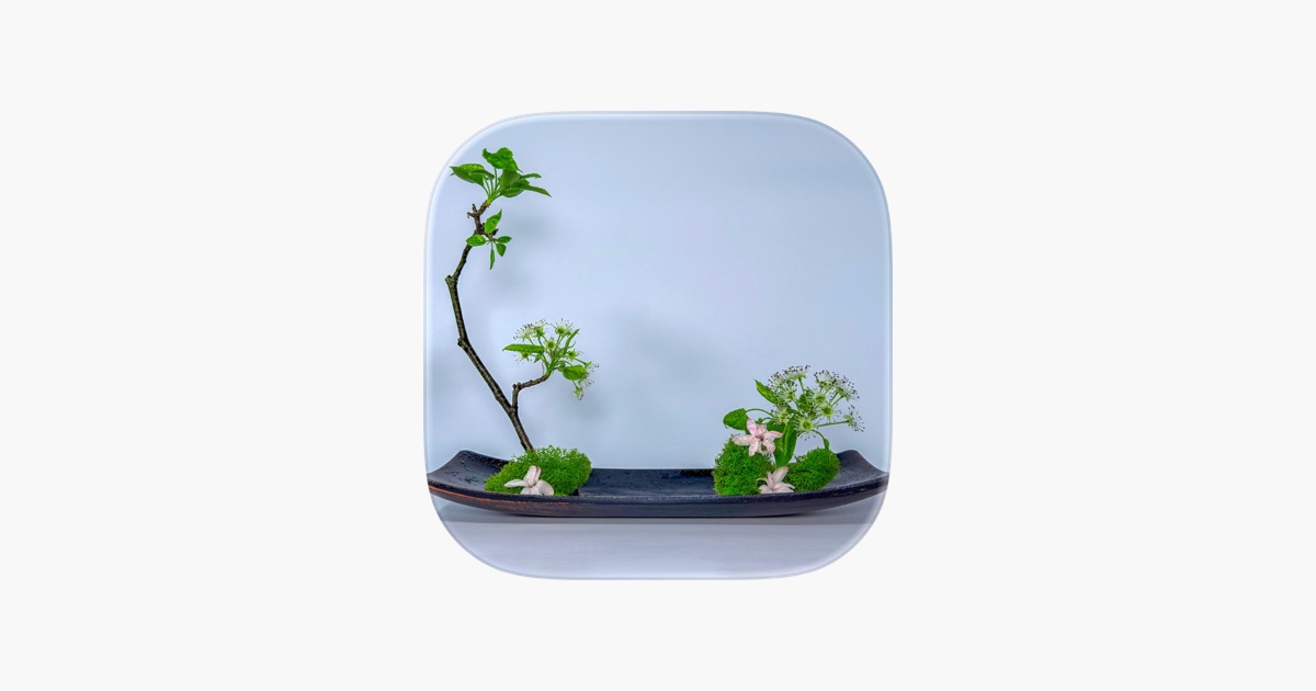 ‎App Ikebana Reflections - App Store
