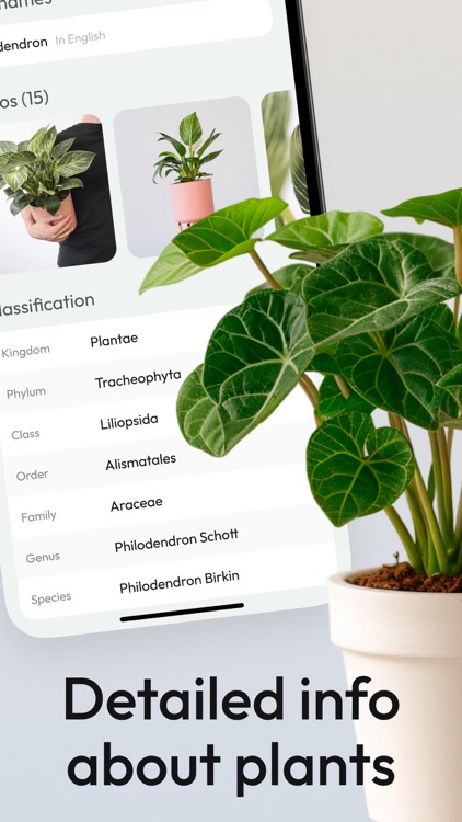 Tree & Plant Identifier Module by Hector McGuire