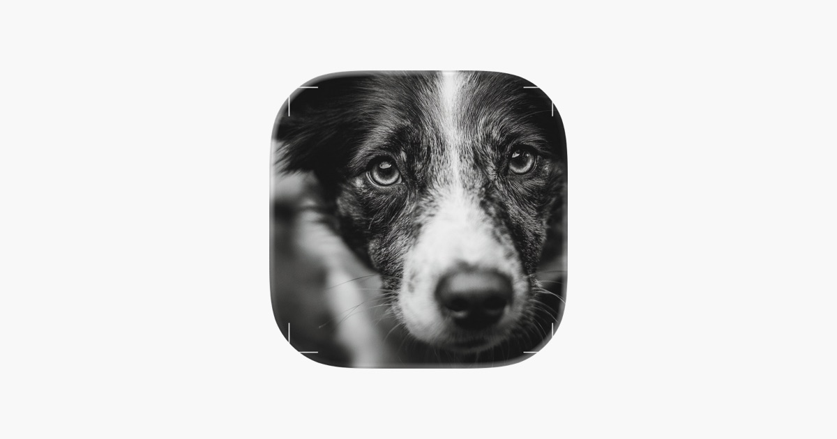 ‎Surveillance Photo Editor App - App Store