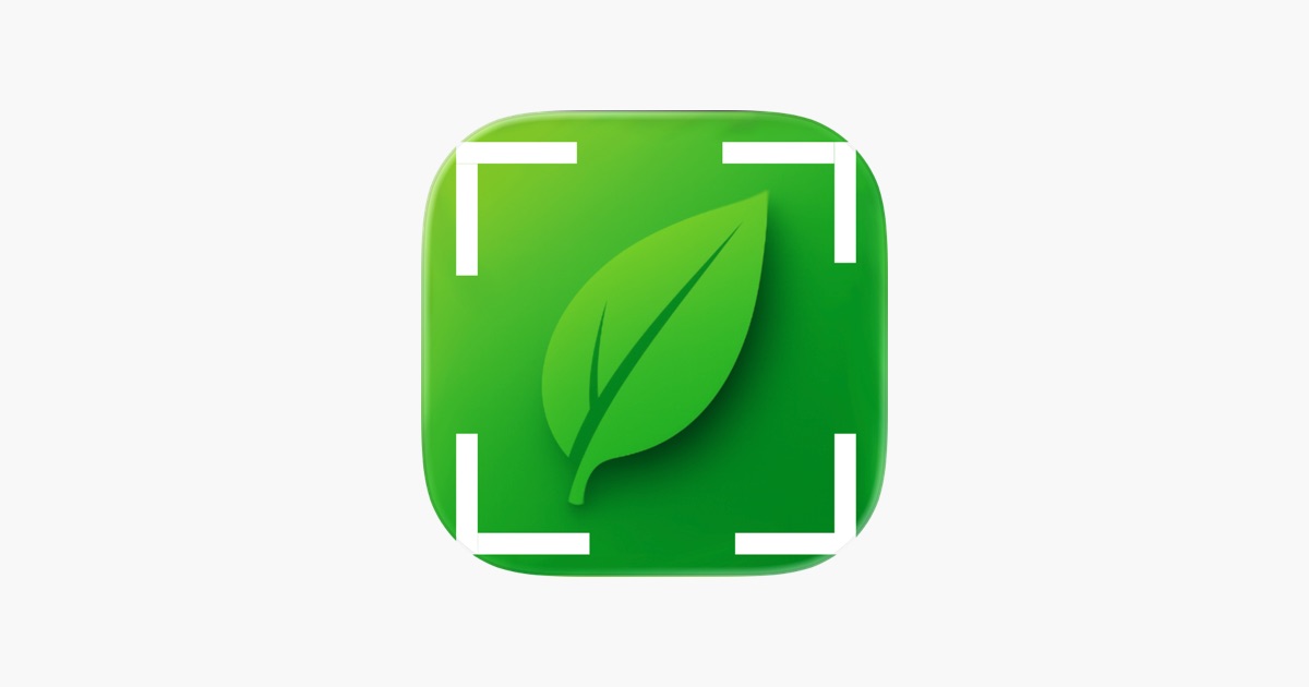 ‎Tree Identification: Tree ID App - App Store