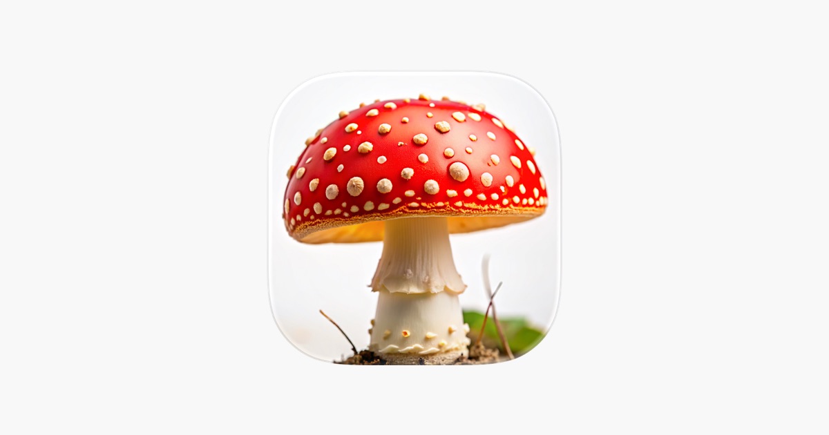‎Mushroom Identification & Map App - App Store