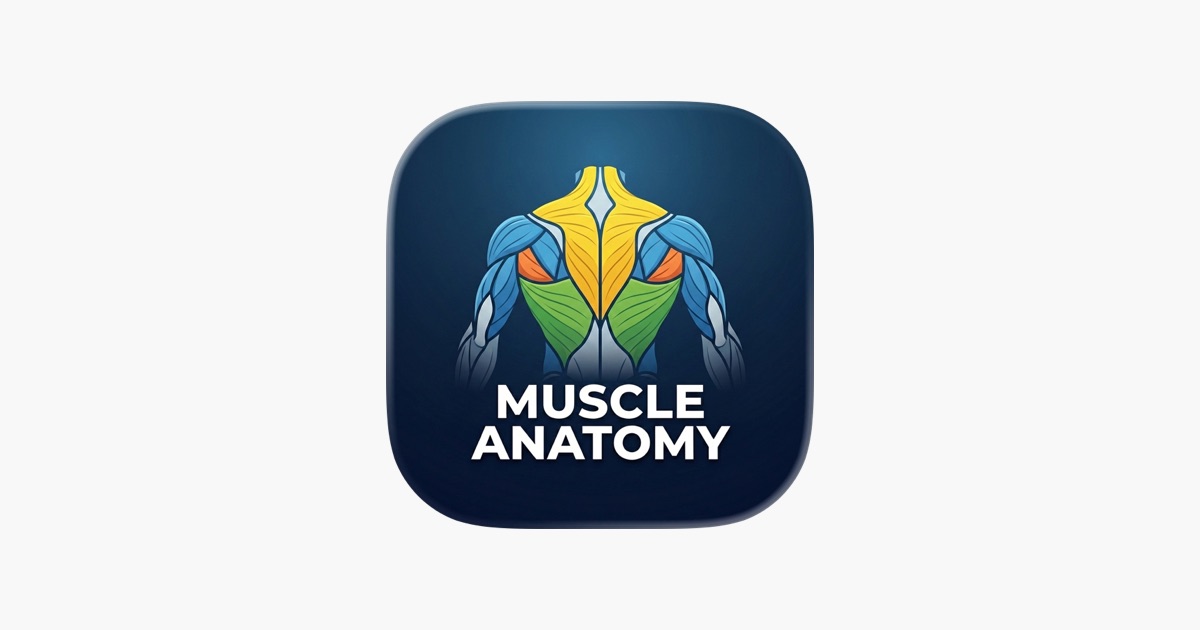 ‎Muscle Anatomy Guideアプリ - App Store