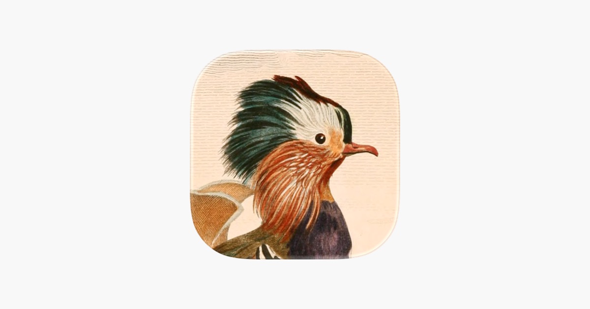 ‎Art of Fauna: Cosy Puzzles App - App Store