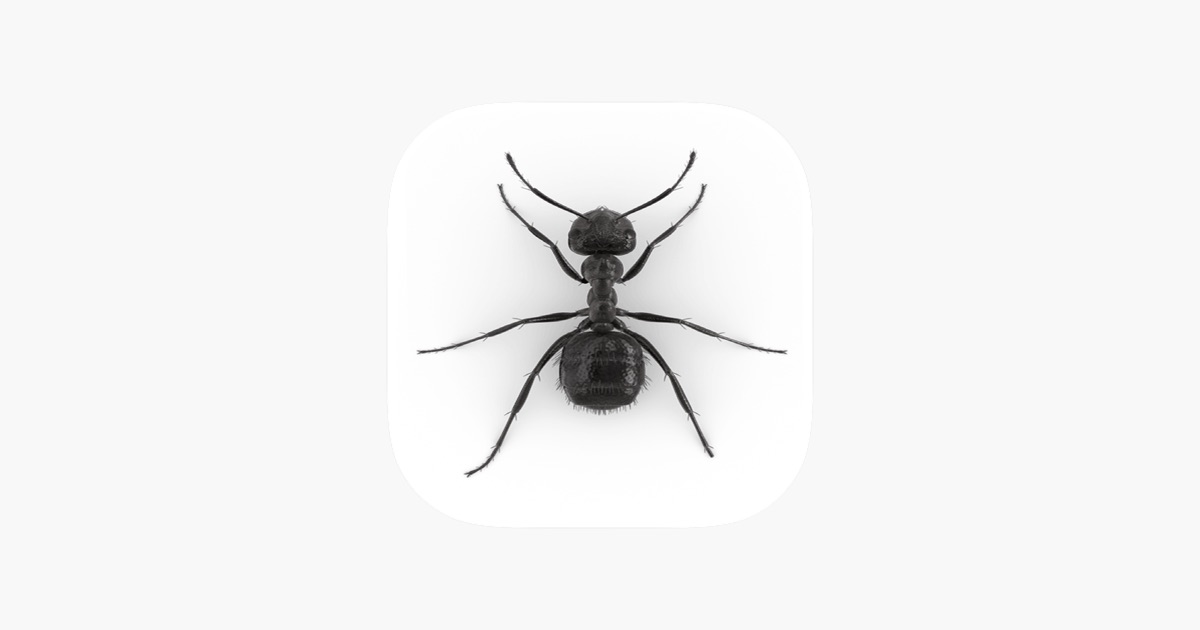 ‎Ants and Bugs App - App Store
