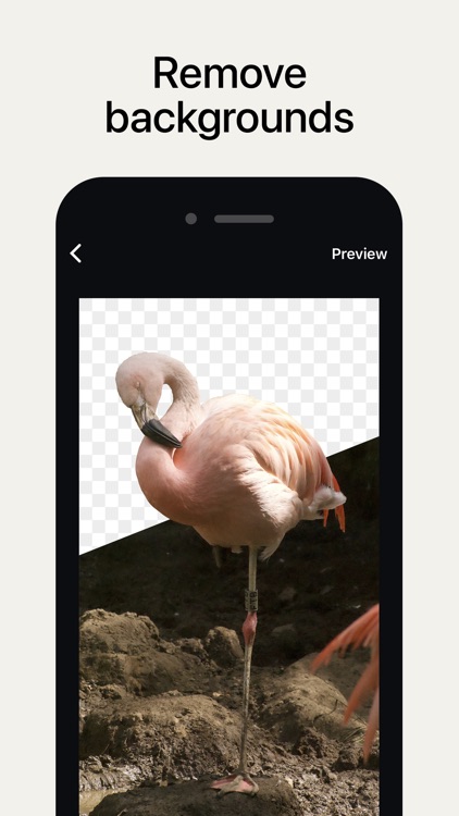 SCRL: Photo Collage Maker by Appostrophe AB