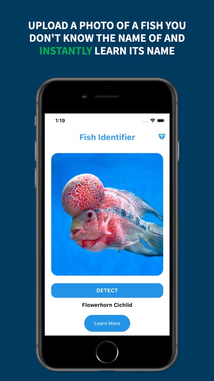 Fish Identifier - Scan With AI by Gokhan Navruz