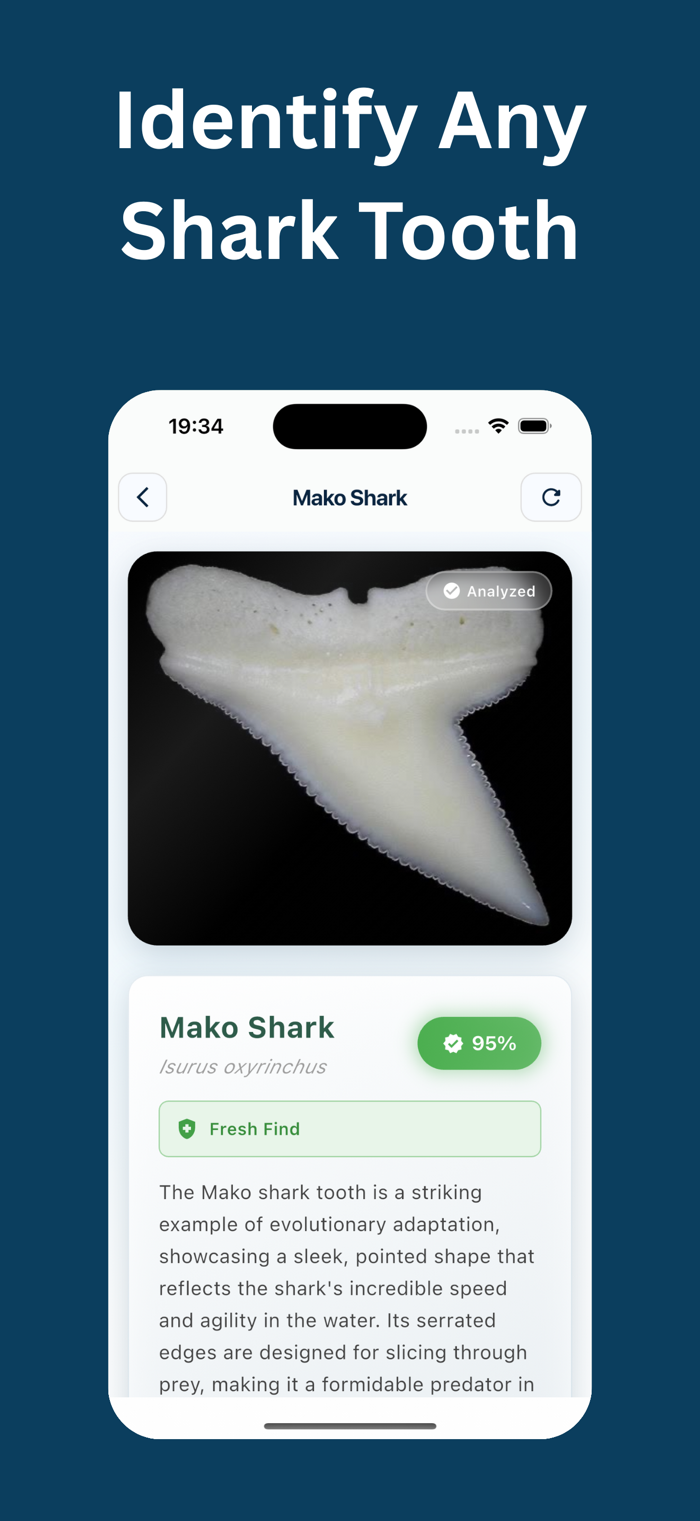 Shark Tooth Identifier: Scan - Shark Tooth Identifier: AI Sca