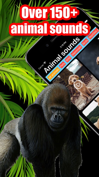 Animal Sounds and Ringtones by Chingiz Zholdaspayev