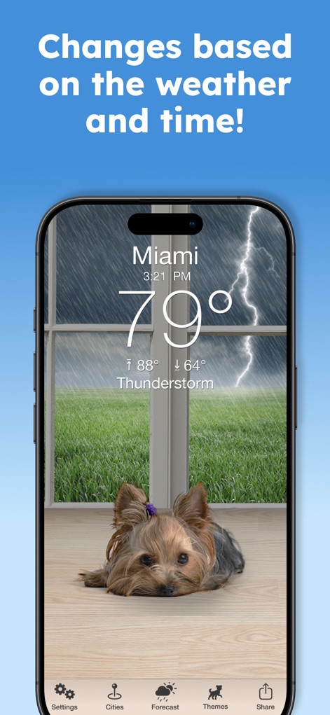 Weather Puppy Forecast + Radar - Weather App | MWM