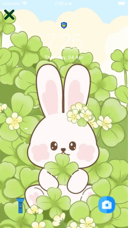 cute rabbit aesthetics by SAMIA KHOUBIZA