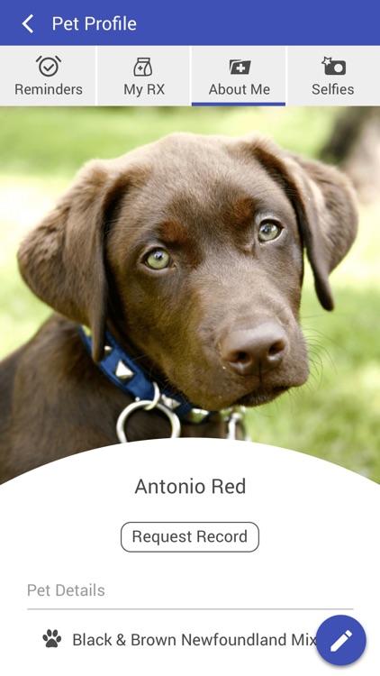 Oak Knoll Animal Hospital by Lakefield Veterinary Group, Inc.