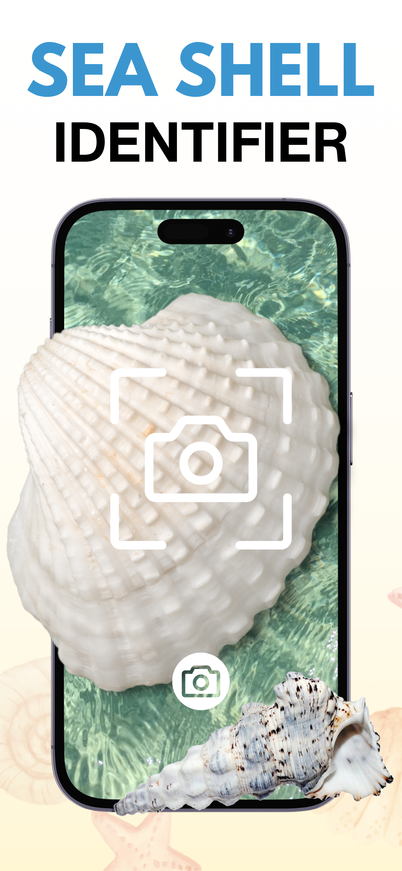Sea Shell Identifier: AI Scan | AppFollow | App’s reputation platform