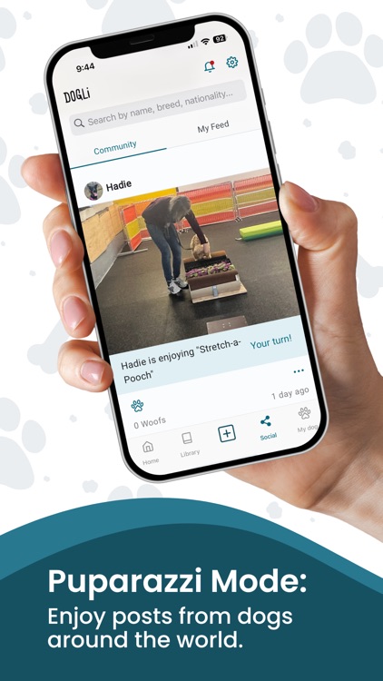 DOGLi - Dog Enrichment & Games by DOGLi