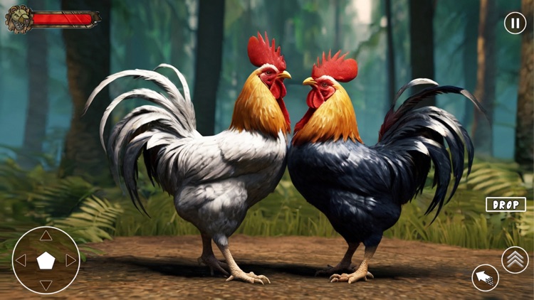 Wild Rooster Chicken Simulator by Zahid Qadeer