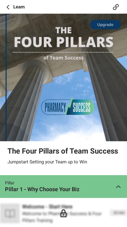 Pharmacy Success by Patti Mara