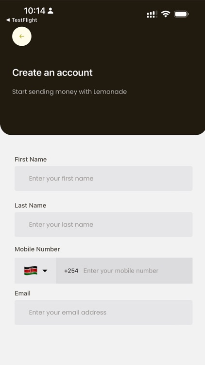 Lemonade Payments by Lemonade Investments