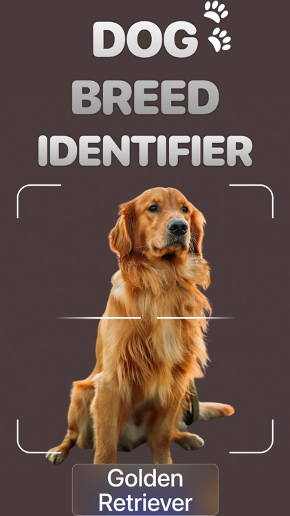Dog Breed Identifier: AI by Saad Belfqih