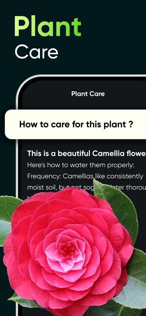 Bernard AI - Genius ChatLLM - Productivity App | MWM