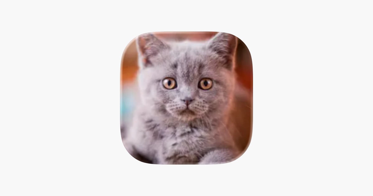 Catify : AI Cat Wallpapers》App - App Store