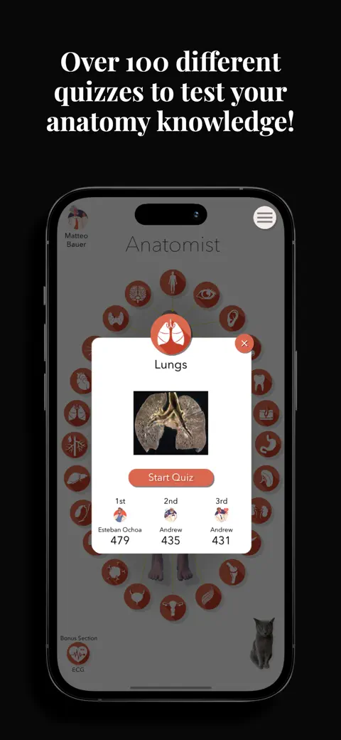 210+ Best Muscle Anatomy Games Apps & Games for iPhone (2026) | Free ...